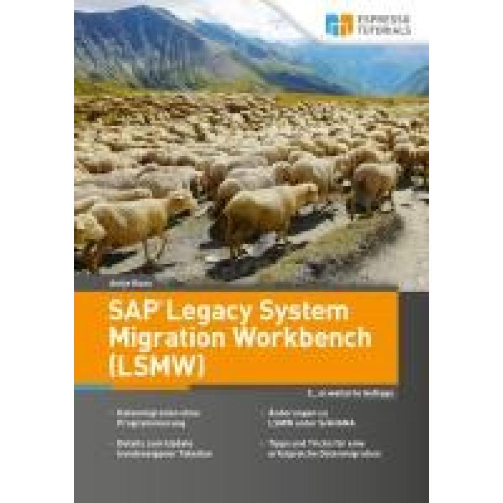 SAP Legacy System Migration Workbench (LSMW)